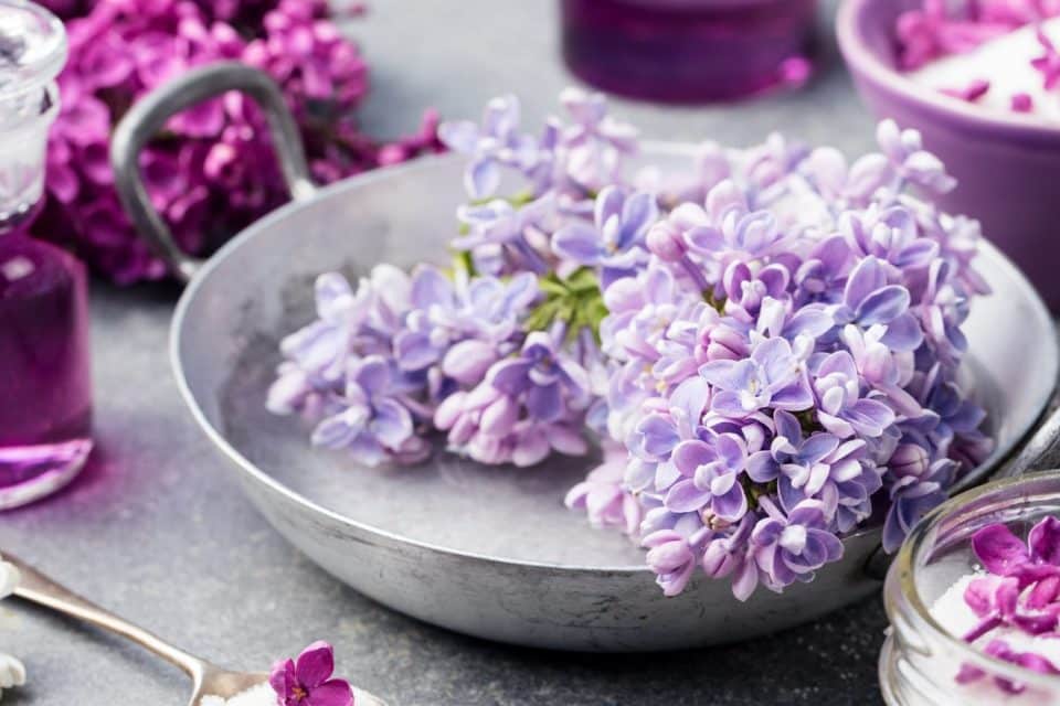 Quantos remédios florais posso usar simultaneamente? - Simpatias Poderosas